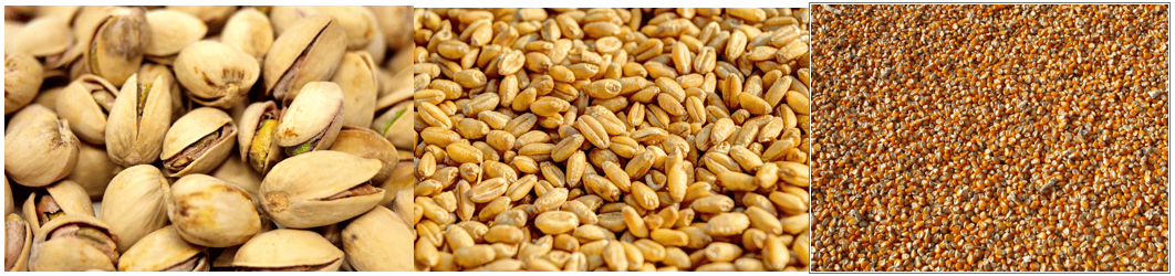 Grain Dust Collection Systems Overview Baghouse